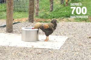 Automatic Livestock Waterers | Cattle Waterers | Nelson Mfg