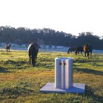 Automatic Horse Waterers | Nelson Mfg 900 Series | IA